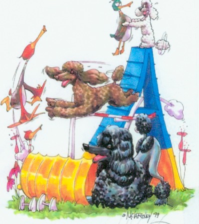 cartoons, wat vinden jullie van deze? | HondenForum